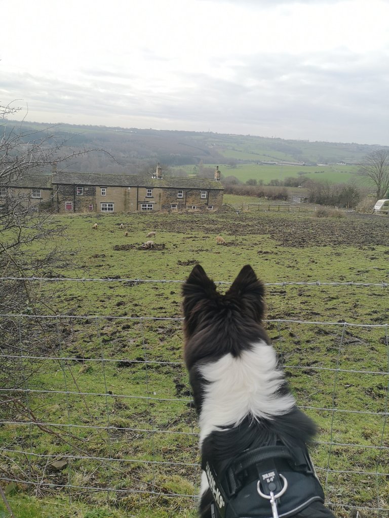 Exploring the Moravian Settlement and Fulneck – So Beau