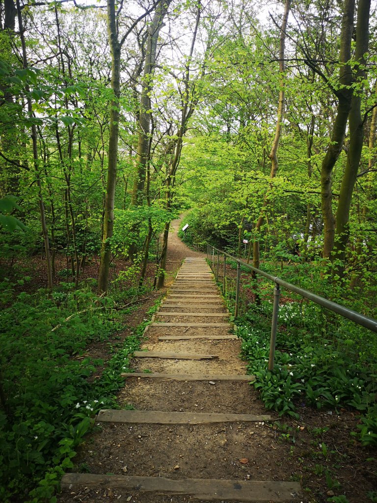 The little Farnley fish pond – So Beau