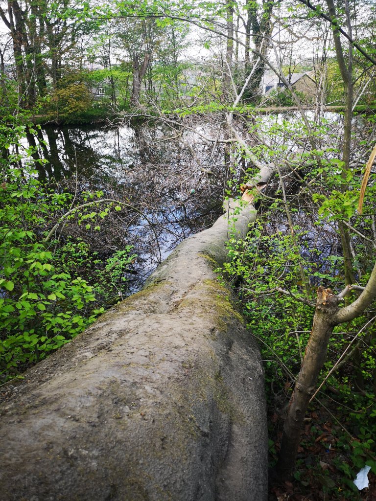 The little Farnley fish pond – So Beau