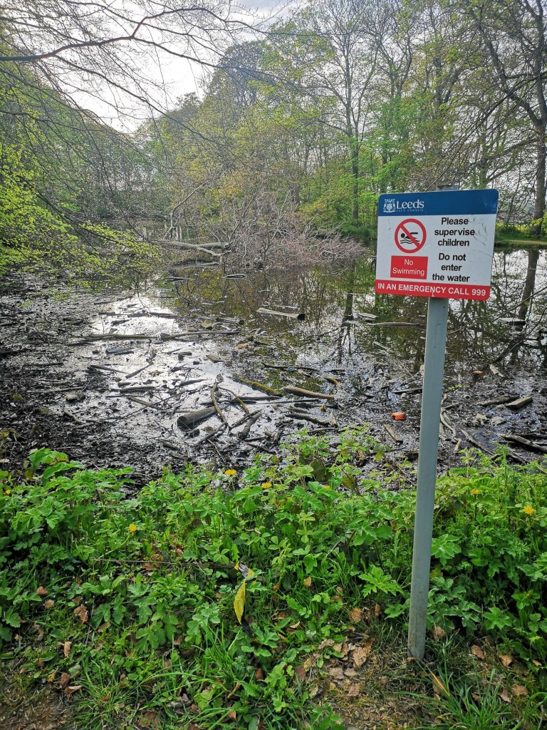 The little Farnley fish pond – So Beau