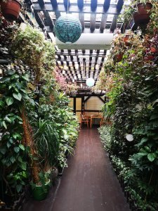 Where to eat in Bucharest, Romania – So Beau